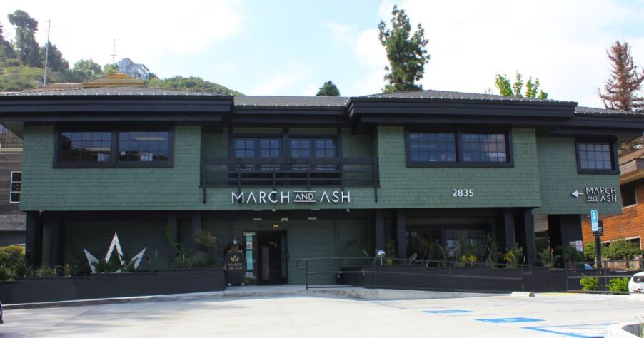 March and Ash: Revolutionizing the Cannabis Business - Hemp World Academy